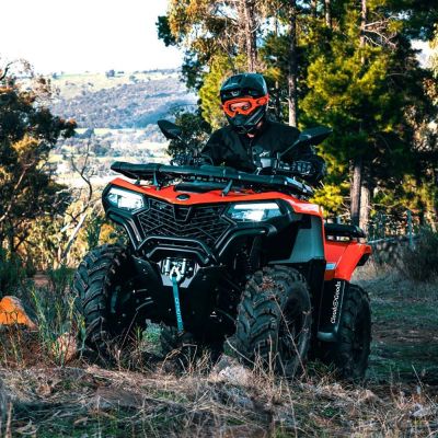 Utility ATV es uno de los principales alquileres en Cloud of Goods ...